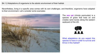 Adaptation to Environment (B4.1) IB Biology HL | PPTX