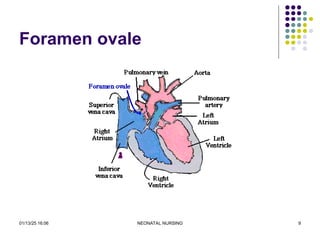 Adaptation to Extra Uterine life ppt.ppt