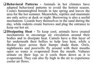 Adaptation_to_hot_climate_-_Copy.pptx
