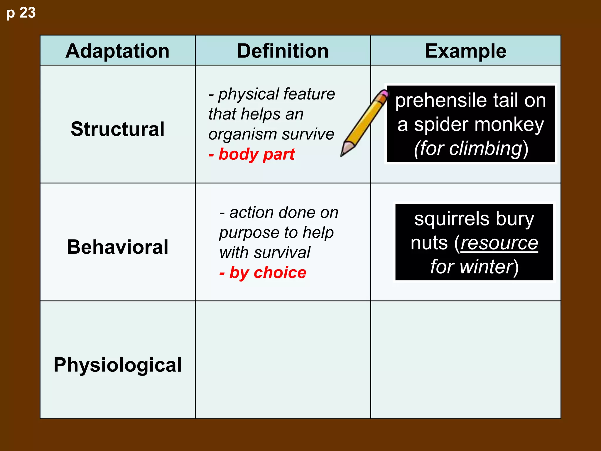 adaptation types powerpoint.ppt