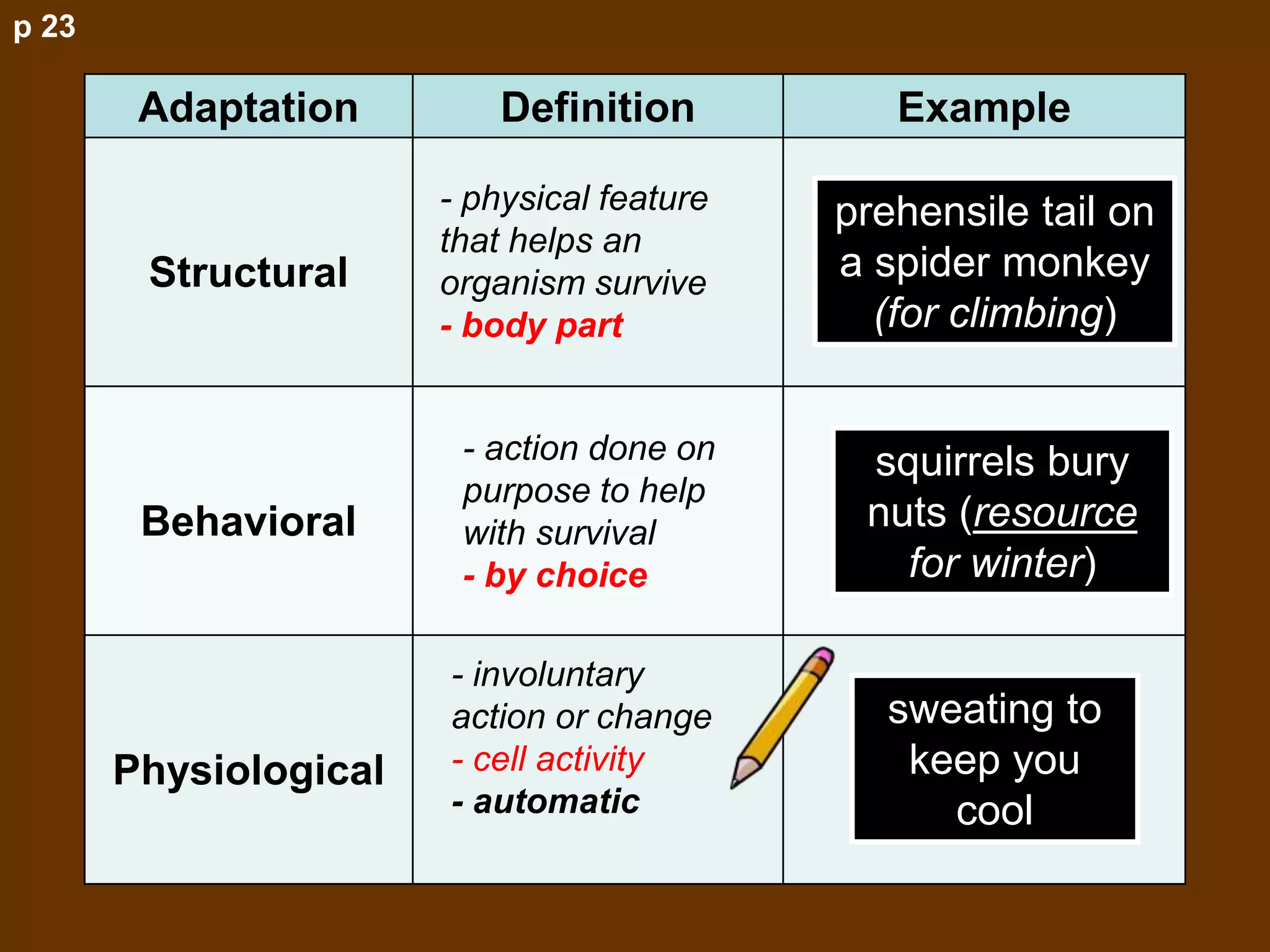 adaptation types powerpoint.ppt