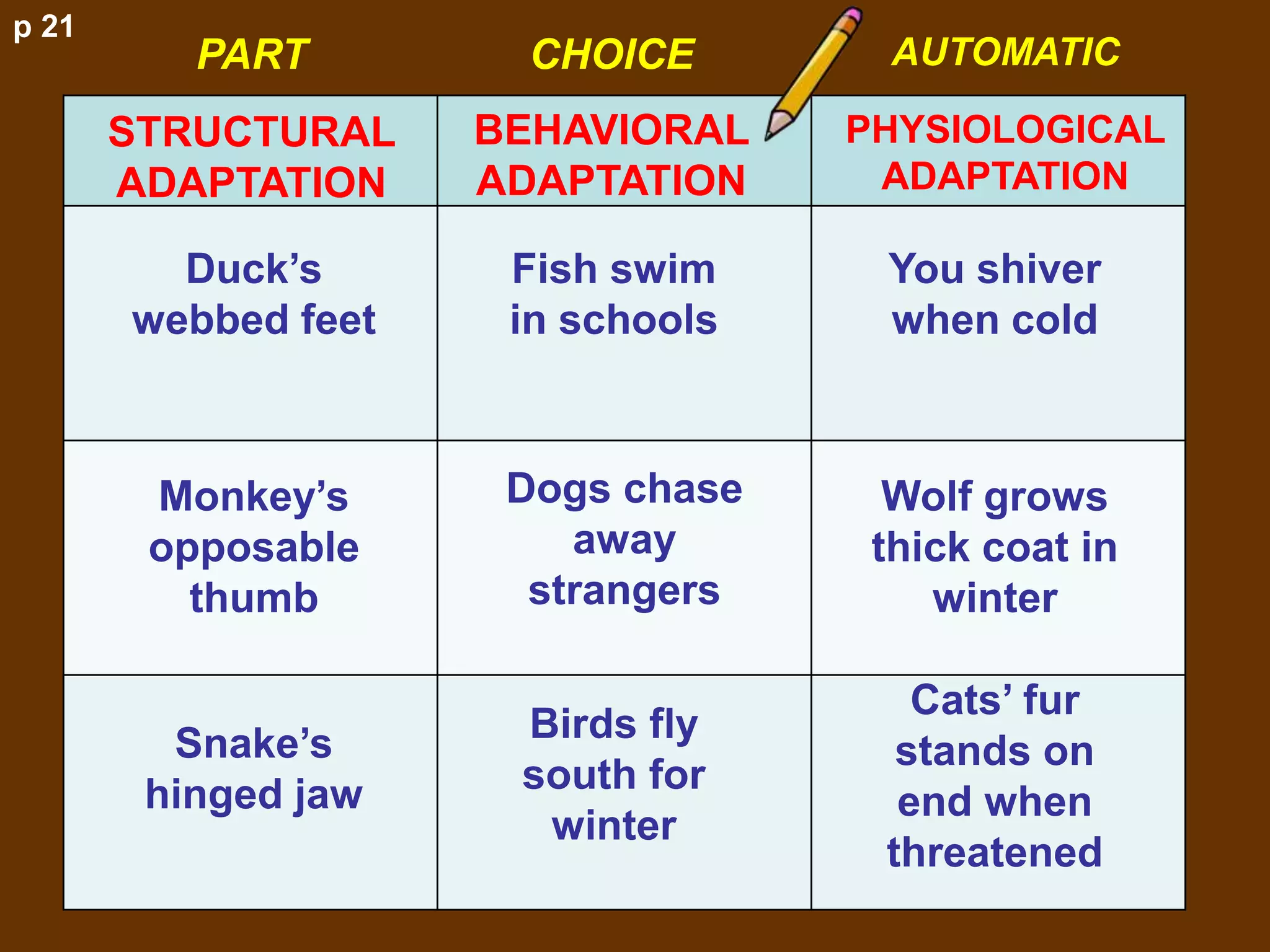 adaptation types powerpoint.ppt