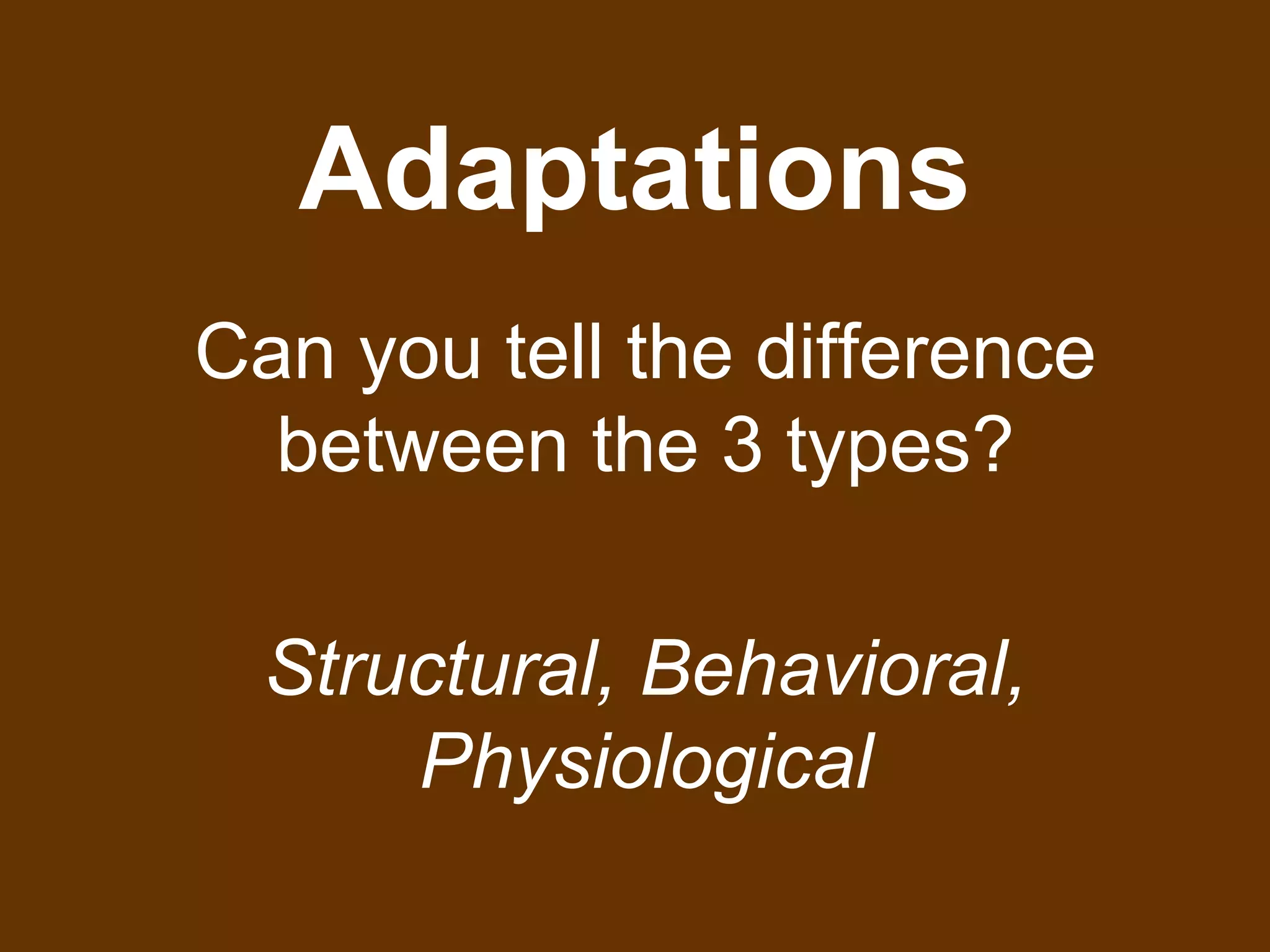 adaptation types powerpoint.ppt | Cats | Pets
