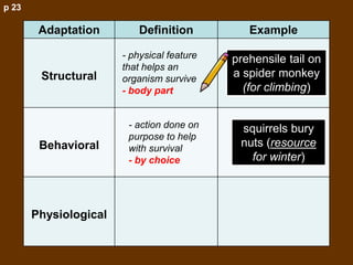 adaptation types powerpoint.ppt | Cats | Pets