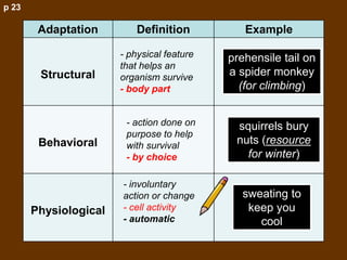 adaptation types powerpoint.ppt | Cats | Pets