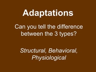 adaptation types powerpoint.ppt | Cats | Pets
