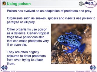 adaptation_v2.1.ppt adaptation methods in animals | PPT