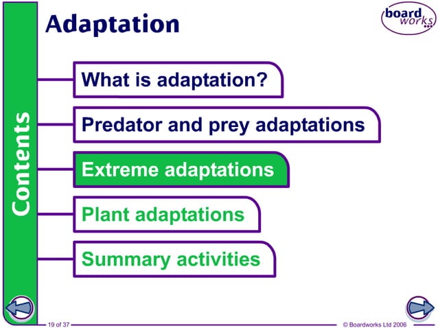adaptation_v2.1.ppt adaptation methods in animals | PPT