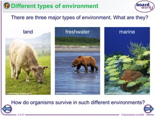 adaptation_v2.1.ppt adaptation methods in animals | PPT