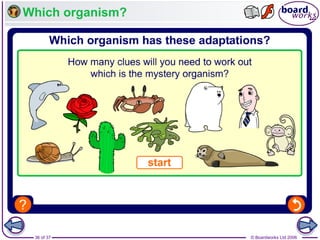 adaptation_v2.1.ppt adaptation methods in animals | PPT