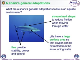 adaptation_v2.1.ppt adaptation methods in animals | PPT