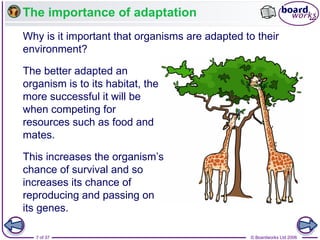 adaptation_v2.1.ppt adaptation methods in animals | PPT