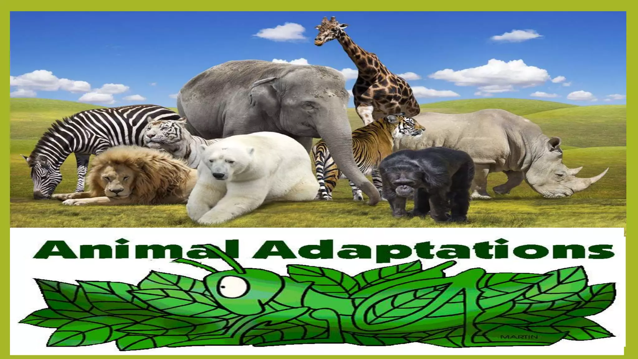 Adaptation structure behavior grade 3 | PPTX