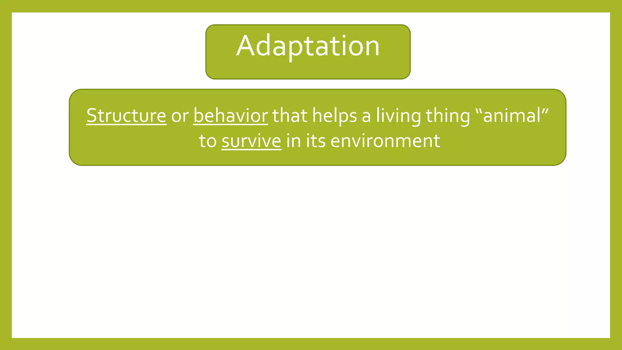 Adaptation structure behavior grade 3 | PPTX