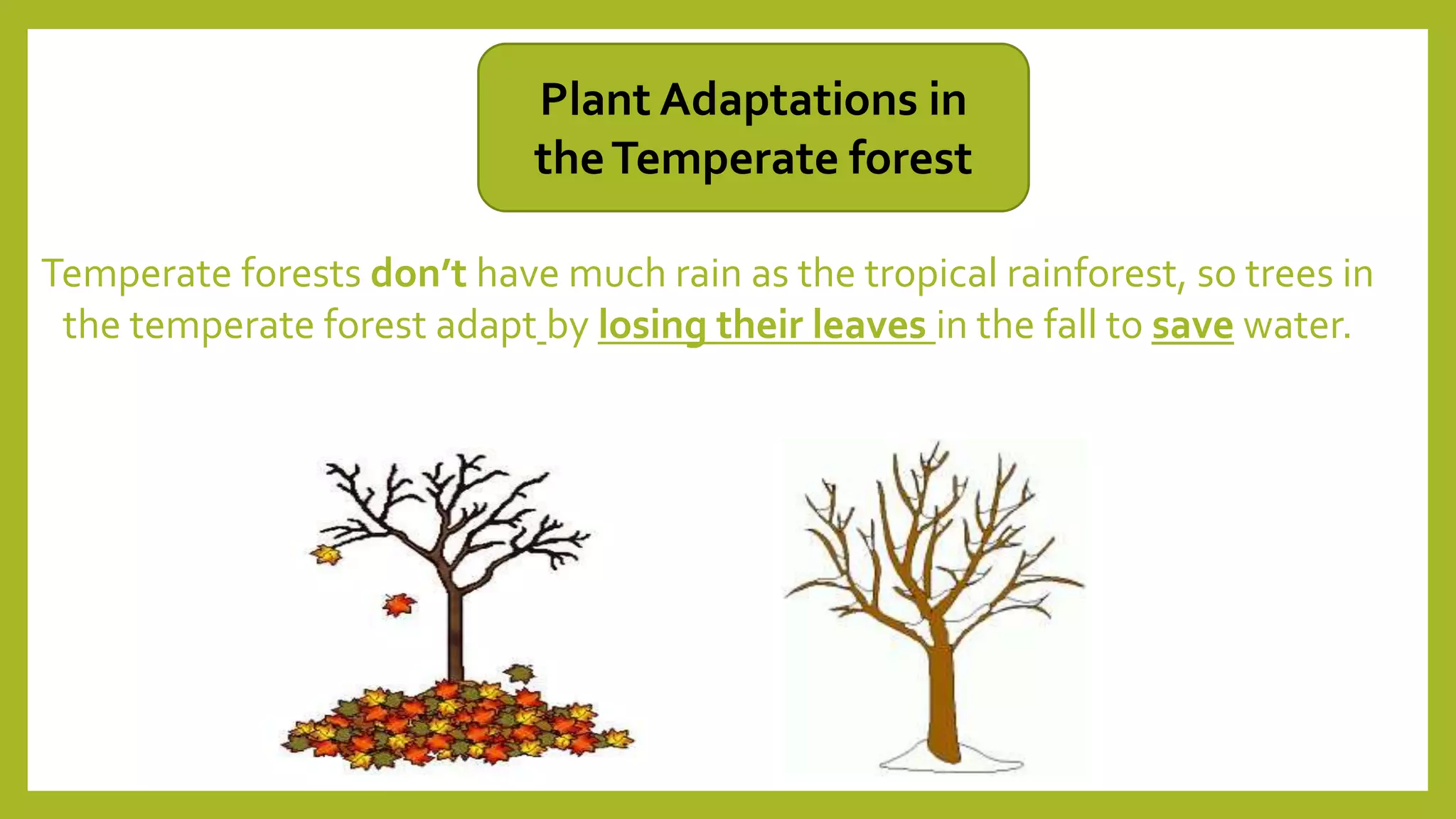 Adaptations FINAL G3 | PPTX
