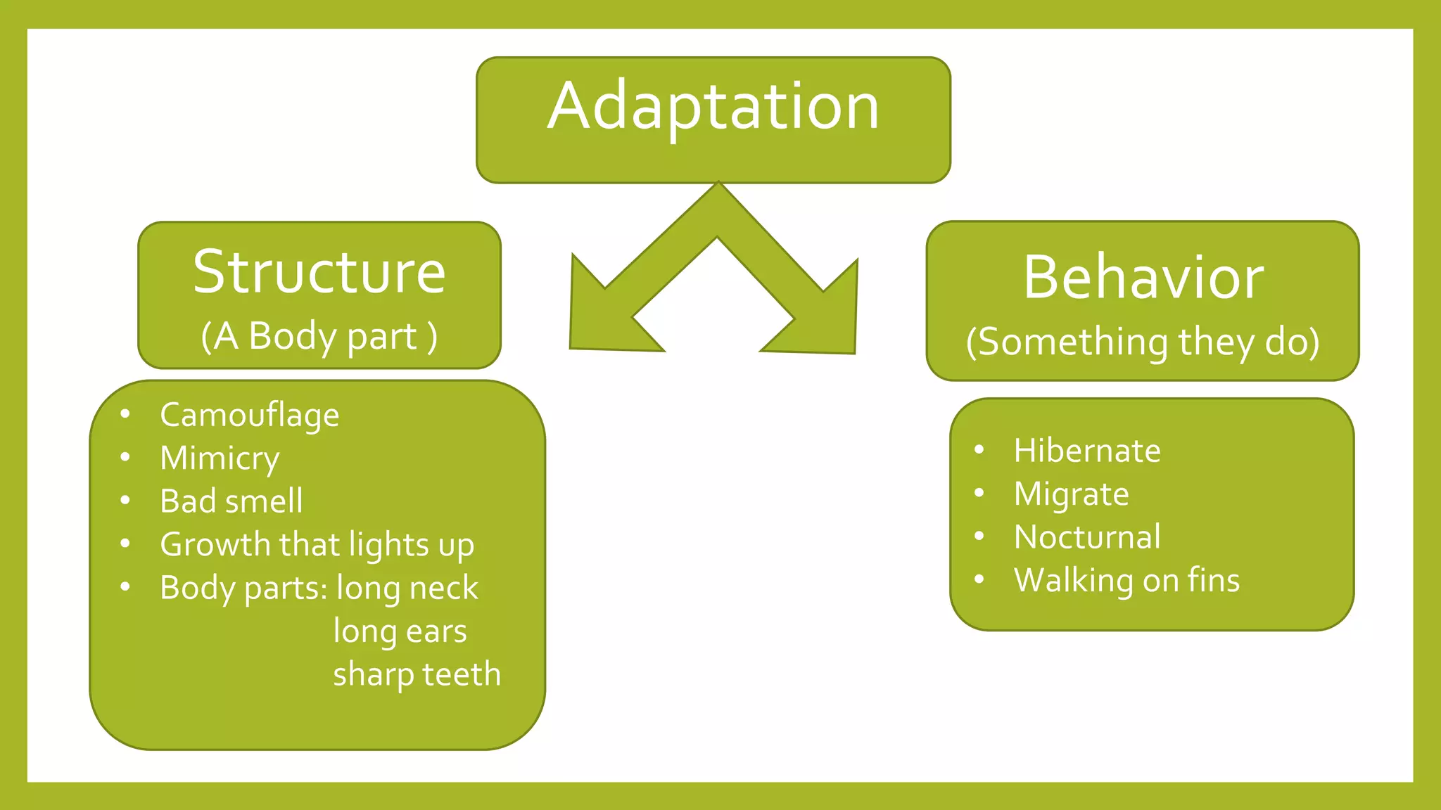 Adaptations FINAL G3 | PPTX