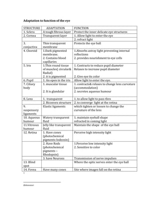 Adaptaton to function of the eye | PDF