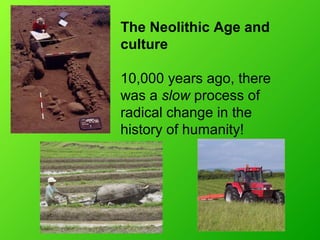 NEOLITHIC PPT. | PPT | Agriculture | Industries