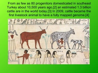 NEOLITHIC PPT. | PPT
