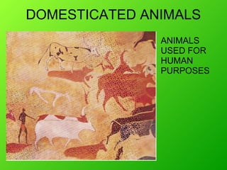 Neolithic Revolution Domestication Of Animals