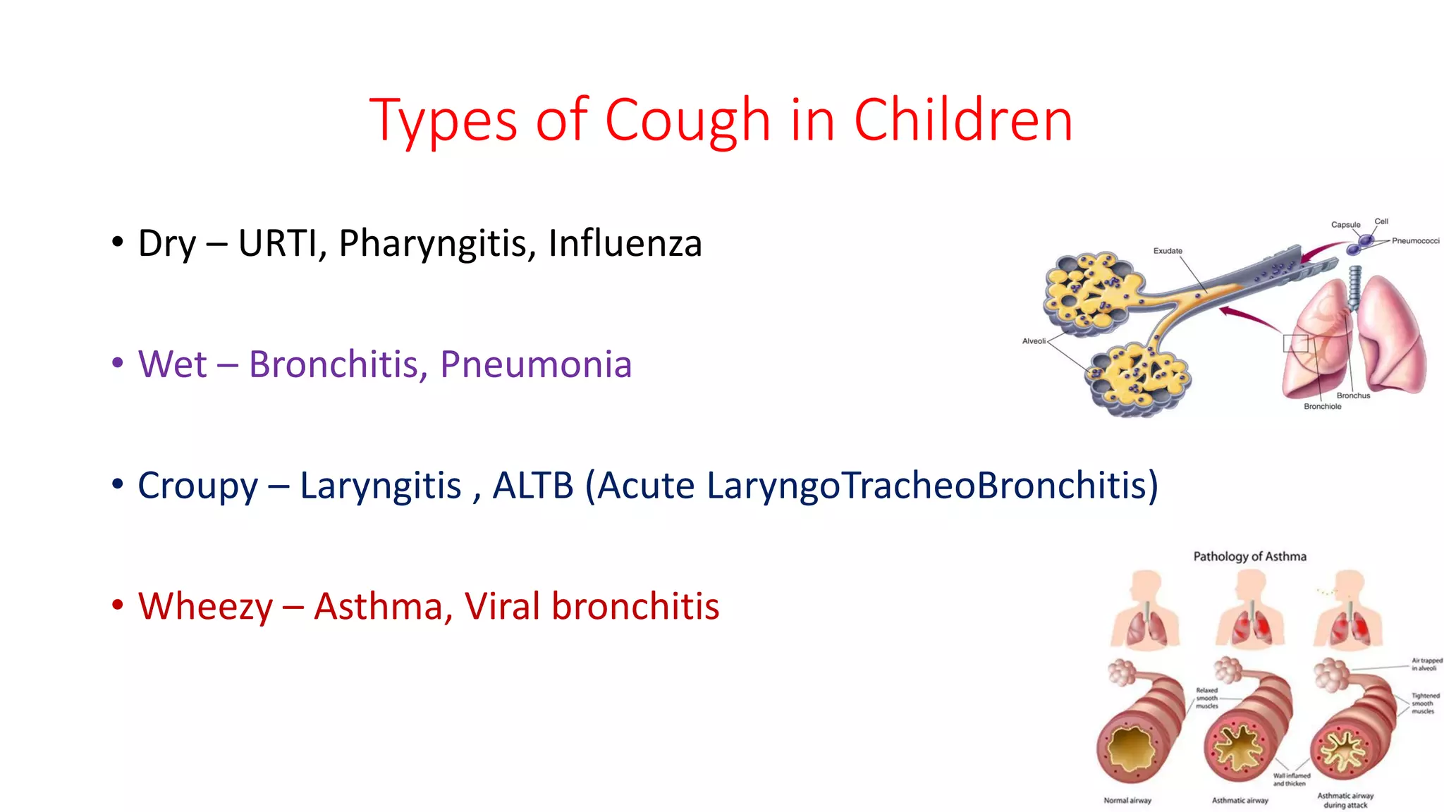 Adapted imnci cough 2020 | PDF | Lung and Respiratory Health | Diseases ...