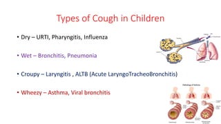 Adapted imnci cough 2020 | PDF | Lung and Respiratory Health | Diseases ...