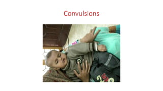 Adapted IMNCI (Integrated Management of Neonatal and Childhood Illness ...