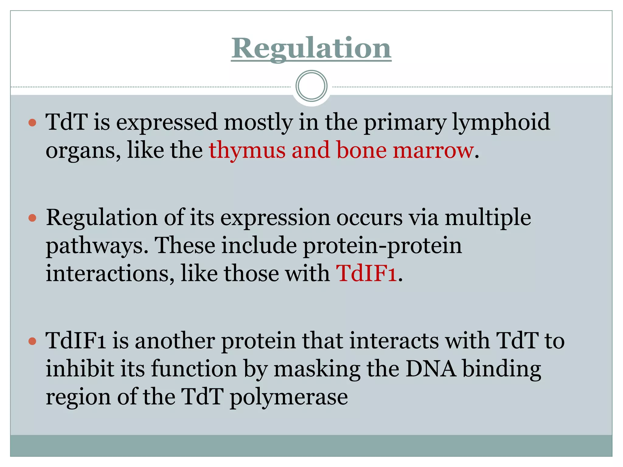 Linker, Adaptor, Homopolymeric Tailing & Terminal Transferase | PPTX