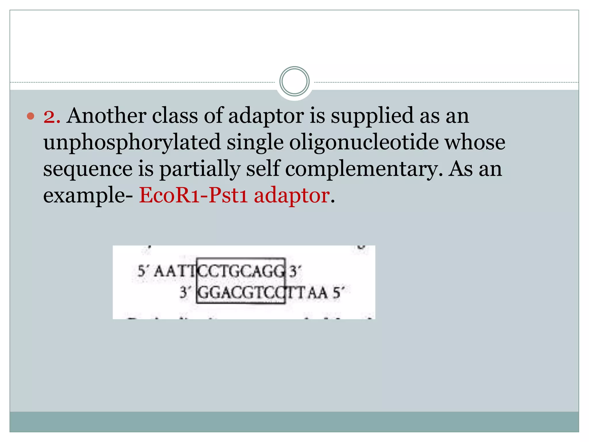Linker, Adaptor, Homopolymeric Tailing & Terminal Transferase | PPTX