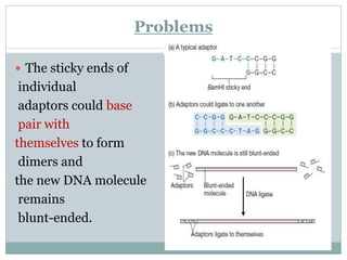 Linker, Adaptor, Homopolymeric Tailing & Terminal Transferase | PPTX