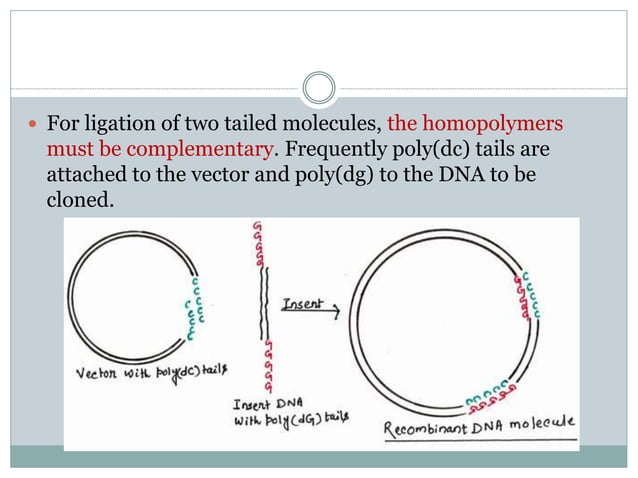 Linker, Adaptor, Homopolymeric Tailing & Terminal Transferase | PPTX ...
