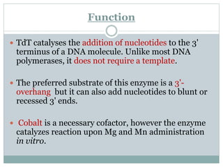 Linker, Adaptor, Homopolymeric Tailing & Terminal Transferase | PPTX