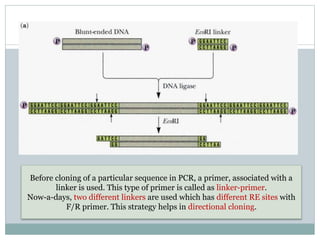Linker, Adaptor, Homopolymeric Tailing & Terminal Transferase | PPTX