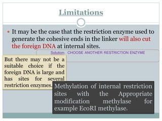 Linker, Adaptor, Homopolymeric Tailing & Terminal Transferase | PPTX