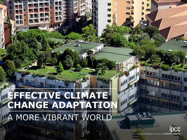 Adapting Urban Areas to Climate Change | PDF