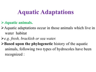 Adaption of animals | PPTX