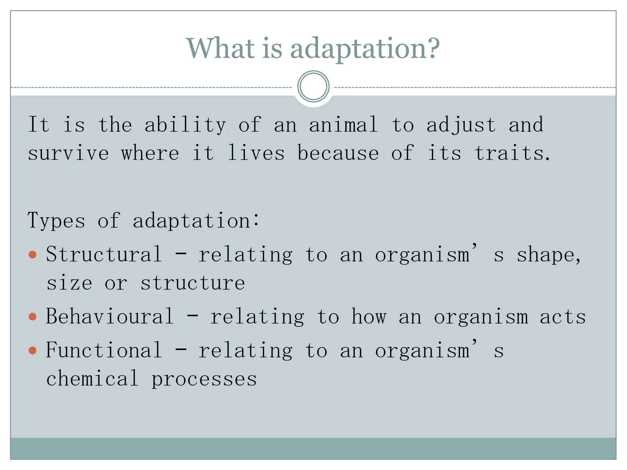 Adaption of animal and plant | PPT