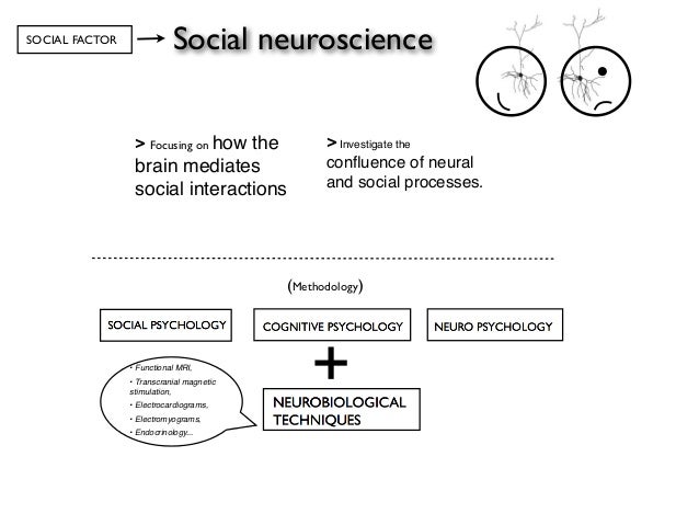 Adaptive behavior and Social neuroscience
