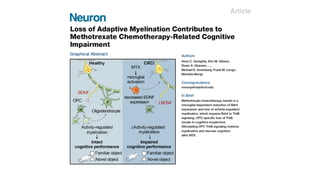 Impact of myelin plasticity on learning and memory | PPT