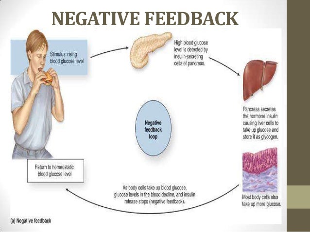 Negative feedback examples - eogulf