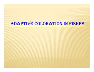 Adaptive colouration in fishes. Colour patterns, camouflaging, colour ...