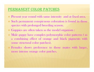 Adaptive colouration in fishes. Colour patterns, camouflaging, colour ...