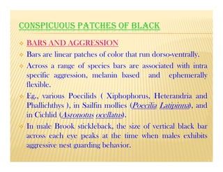 Adaptive colouration in fishes. Colour patterns, camouflaging, colour ...