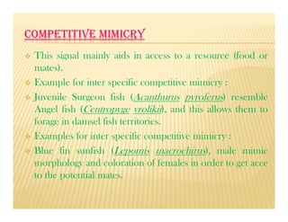 Adaptive colouration in fishes. Colour patterns, camouflaging, colour ...