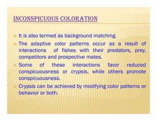 Adaptive colouration in fishes. Colour patterns, camouflaging, colour ...