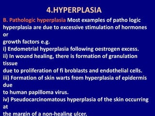 _ADAPTIVE DISORDER.pptx