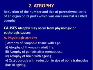 _ADAPTIVE DISORDER.pptx