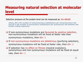 Adaptive Molecular Evolution (dN/dS). 2011 | PDF