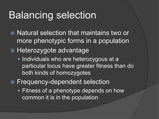 Adaptive evolution as caused by natural selection (continuation) | PPT