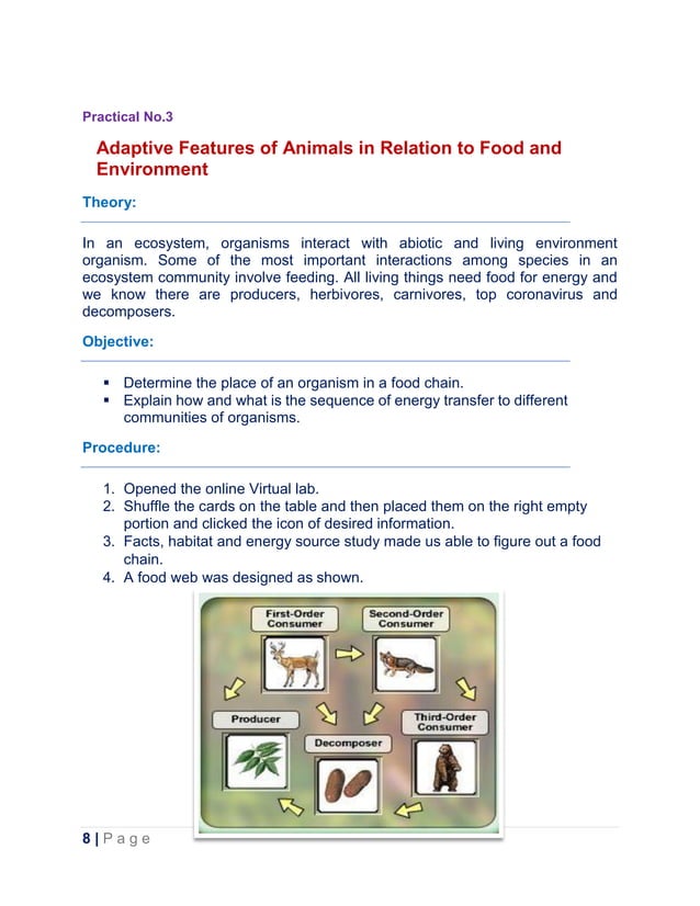Adaptive features of animals in relation to food and environment and ...